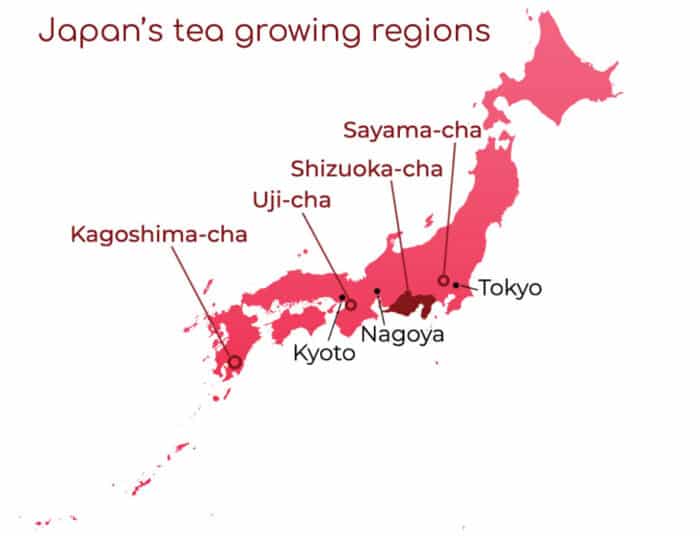 Genmaicha Rice Popcorn Green Tea – Japan | Teapro