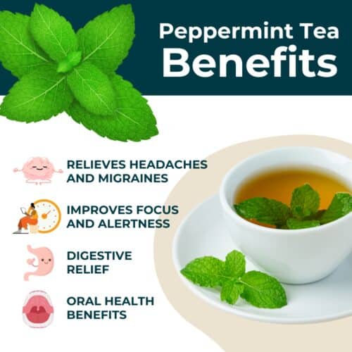 Whole Leaf Peppermint Tea – Refreshing & Calming Mint Tea