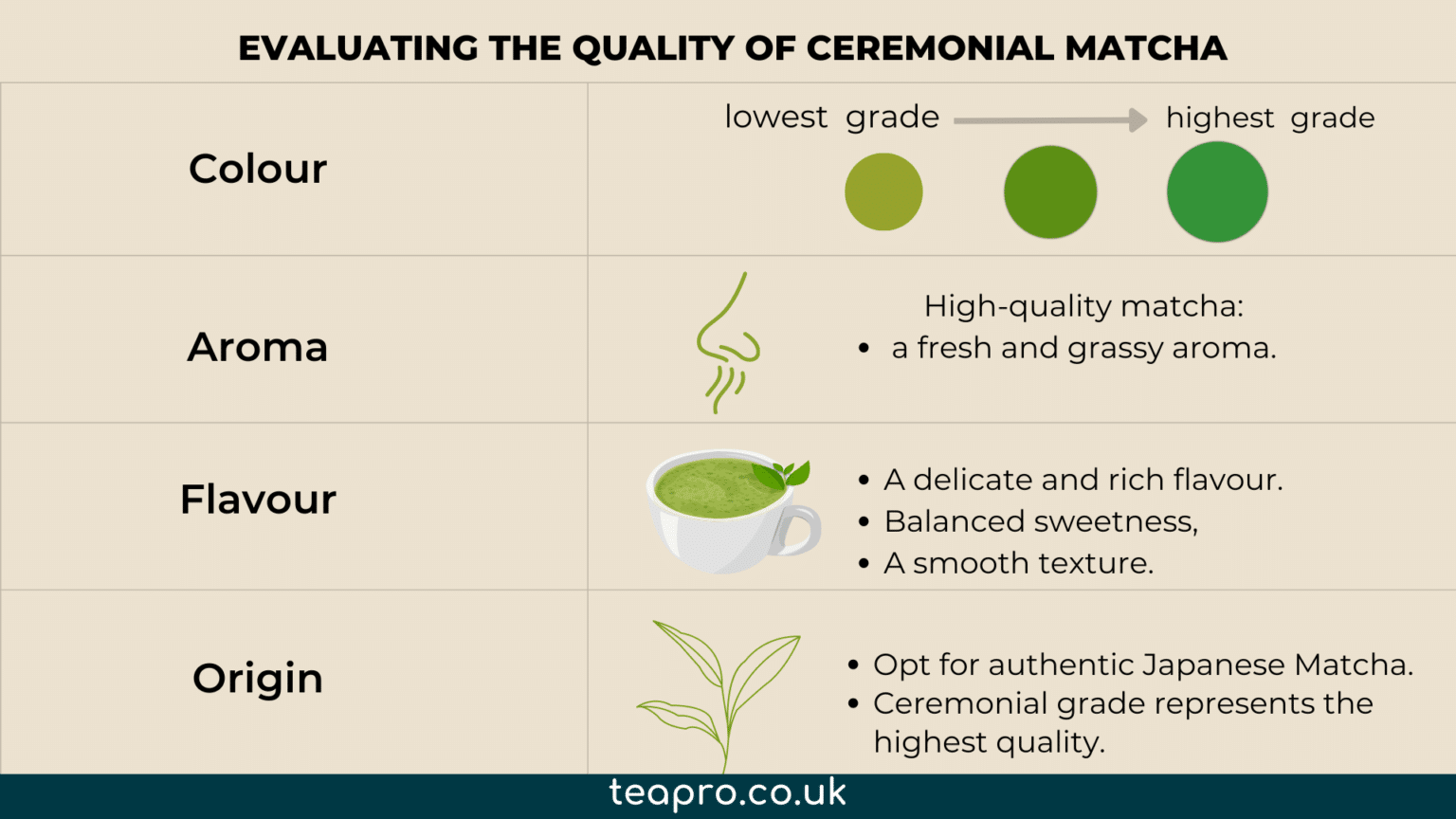 Grades of Matcha: From Everyday Delight to Ceremonial Elegance | Teapro
