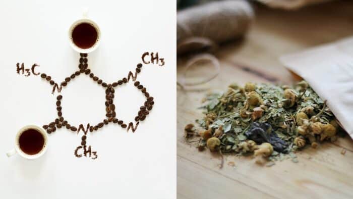 Yerba Mate: The Superior Coffee Substitute?