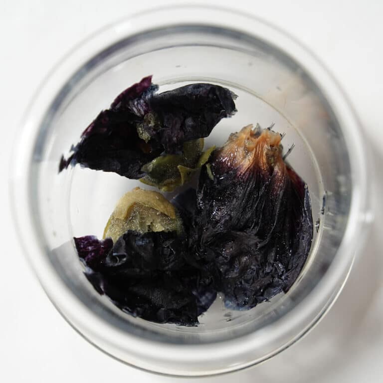 Black Mallow Flower Tea - Natural Sore Throat Relief & Calm