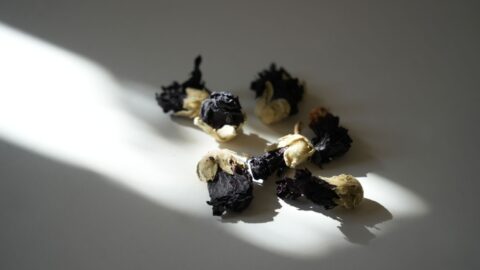 Black Mallow Flower: A Complete Overview Handbook