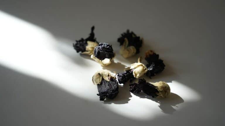 Black Mallow Flower: A Complete Overview Handbook