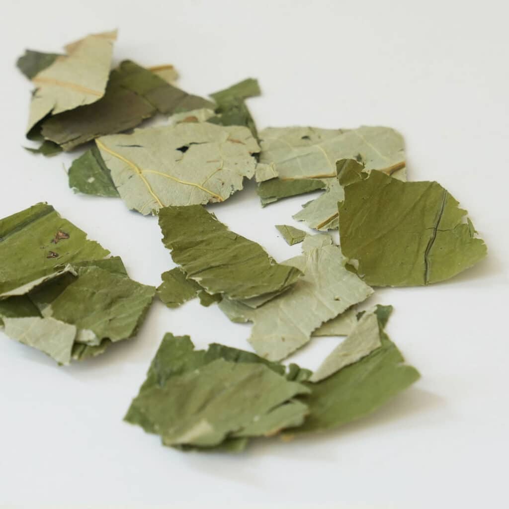 Lotus Leaf Tea: 6 Miraculous Health Benefits for You