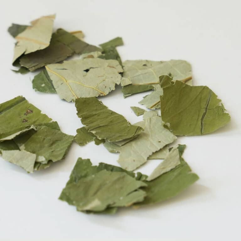 Lotus Leaf Tea: 6 Miraculous Health Benefits for You