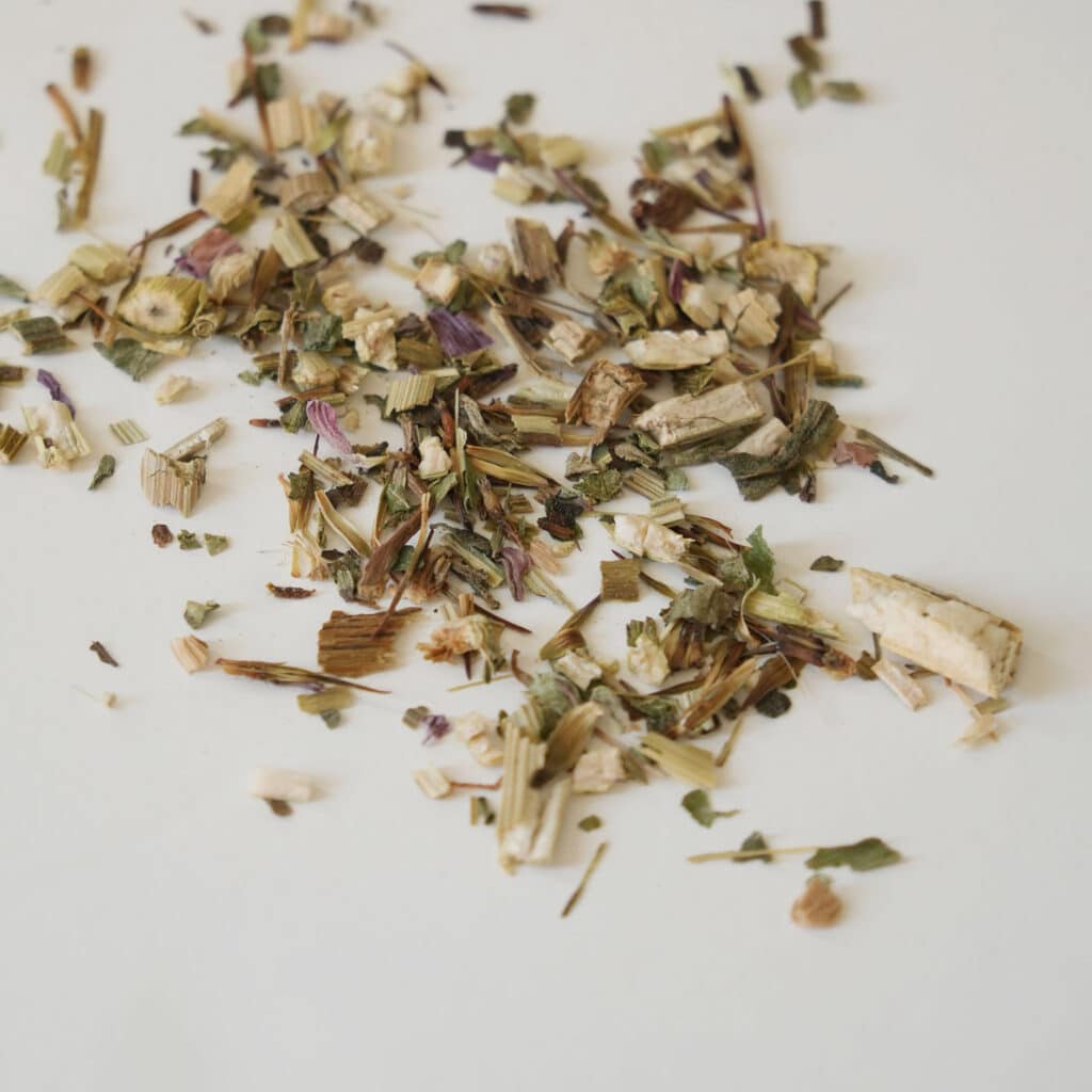 Shop Echinacea Tea – Herbal Immune Support | Teapro