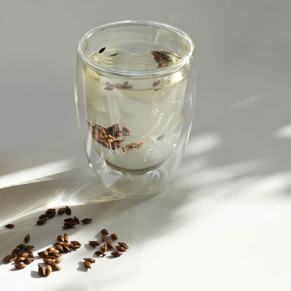 Barley Tea – Caffeine-Free Roasted Infusion | Teapro