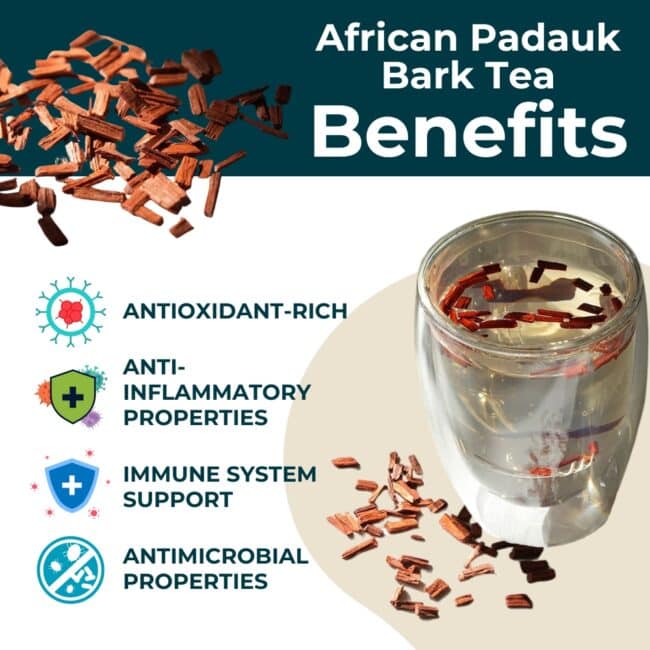 African Padauk Dried Bark Tea - Teapro