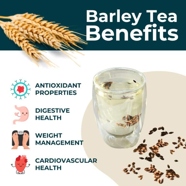 Barley Tea – Caffeine-Free Roasted Infusion | Teapro