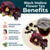 Black Mallow Flower Tea - Teapro