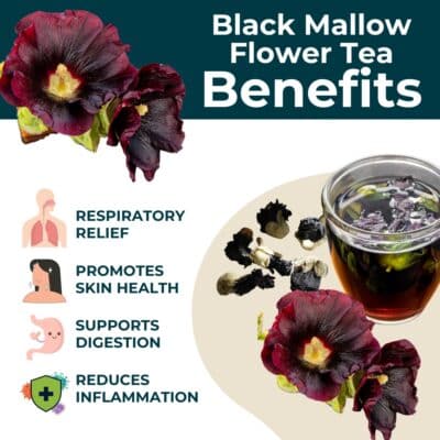 Black Mallow Flower Tea - Teapro