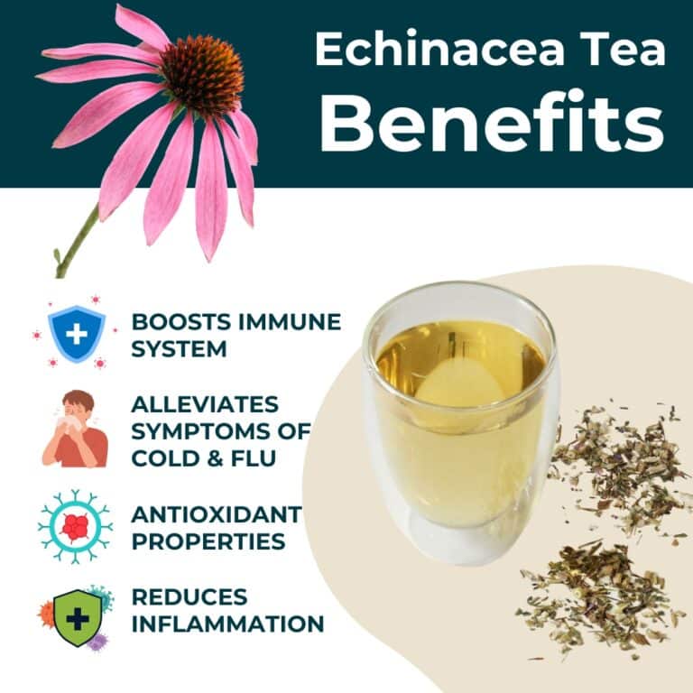 Shop Echinacea Tea – Herbal Immune Support | Teapro