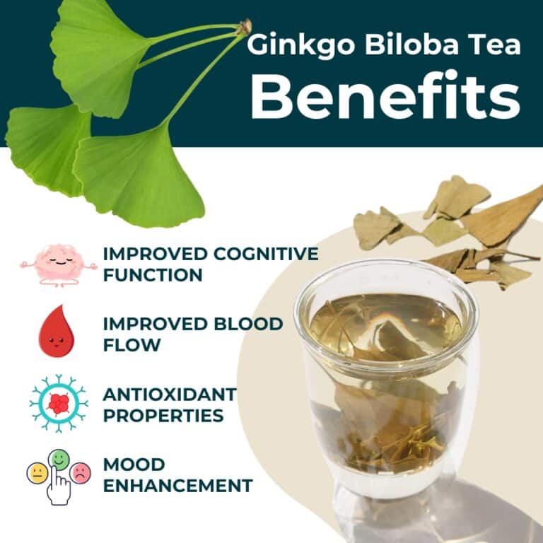 Ginkgo Biloba Tea - Boost Memory, Focus & Circulation