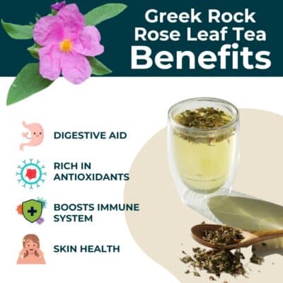 Greek Rock Rose Leaf Tea - For Stress Relief & Mindful Calm