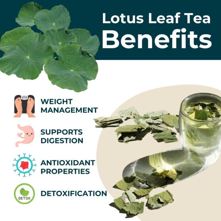 Lotus Leaf Tea – Natural Detox & Weight Management Tea
