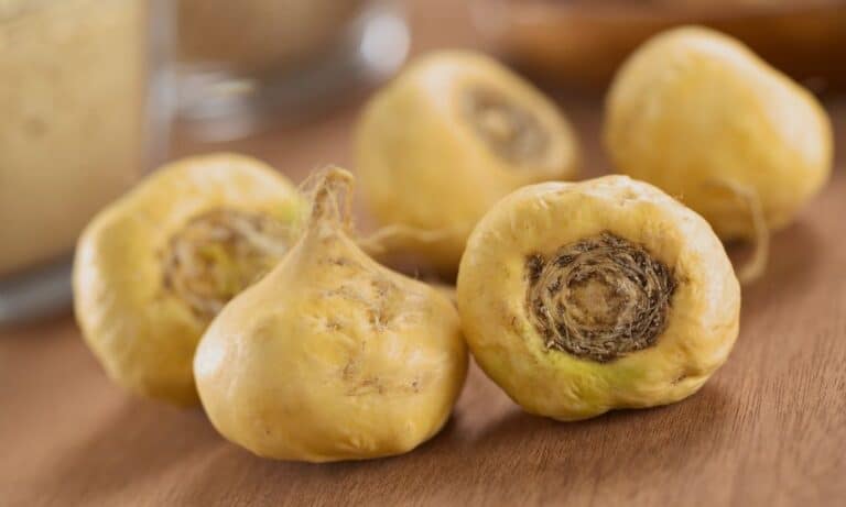 8 Science Backed Health Benefits of Maca Root Tea