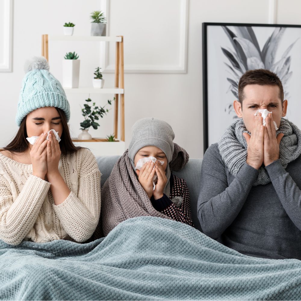 Teas for Flu Symptoms | Soothing Loose Leaf Teas | Teapro